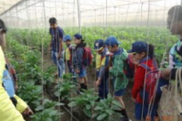 Lumens School – Lumens Education