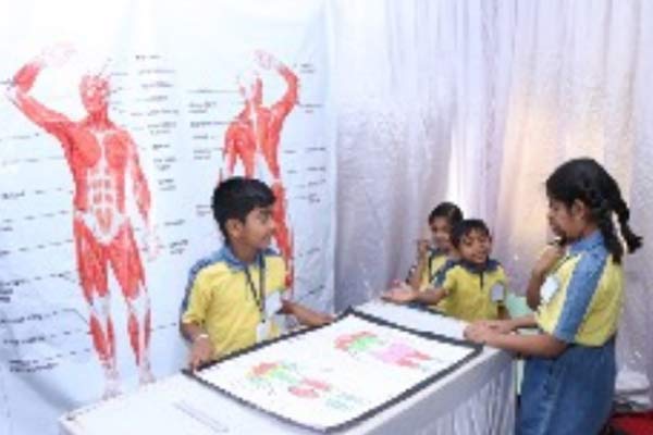 Lumens School – Lumens Education